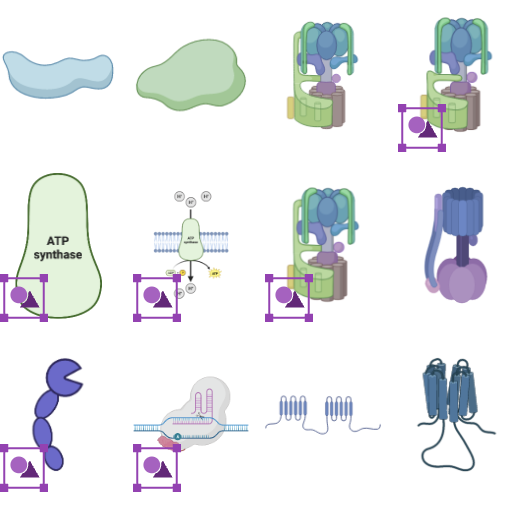 Using grouped icons – BioRender Help