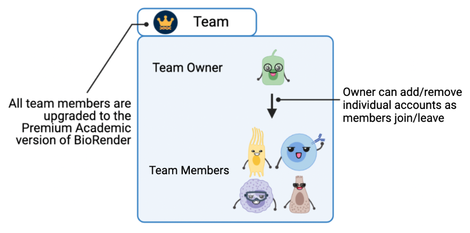 The Industry Team Subscription – BioRender Help