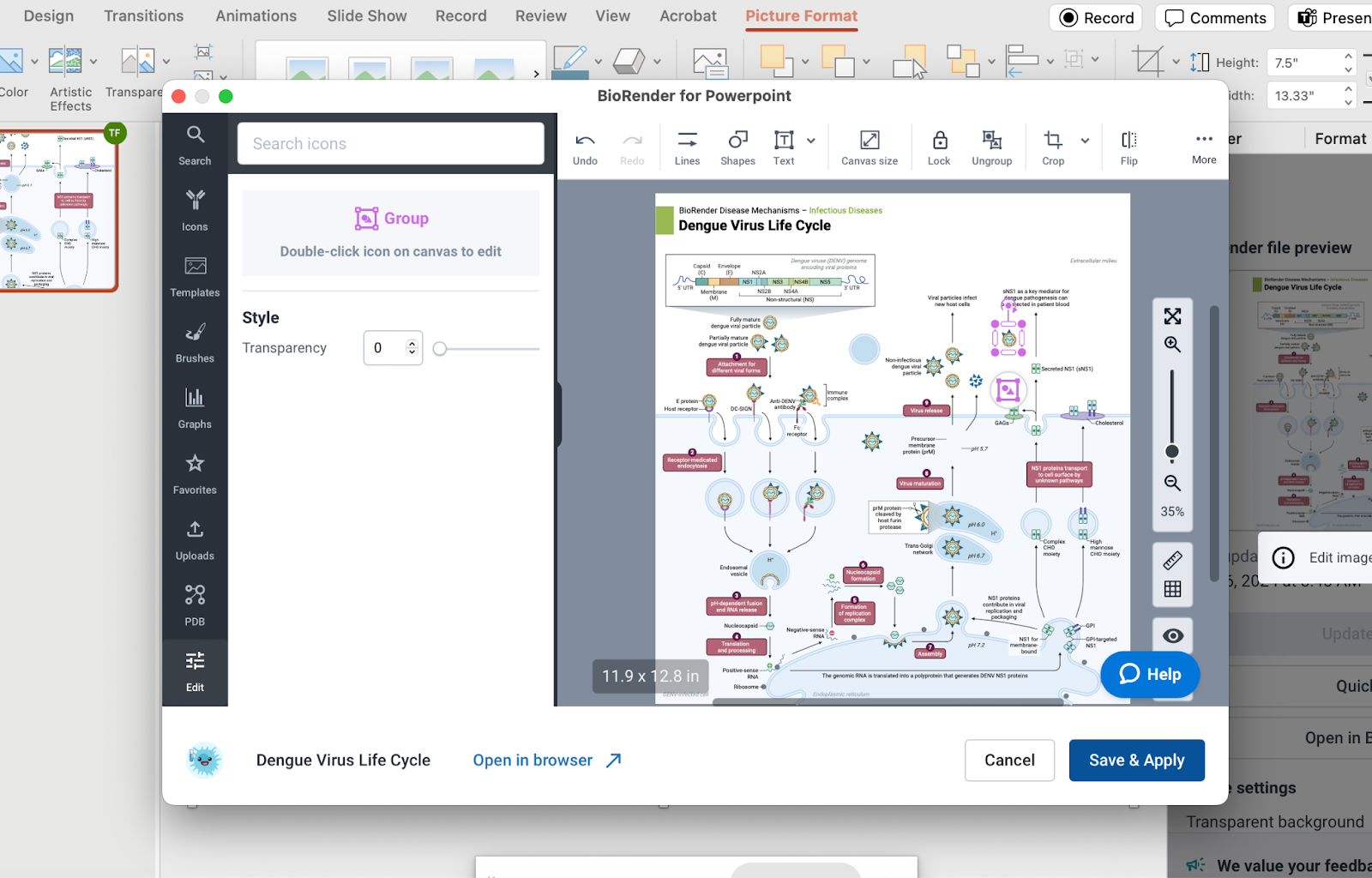 How to edit BioRender figures directly in PowerPoint – BioRender Help
