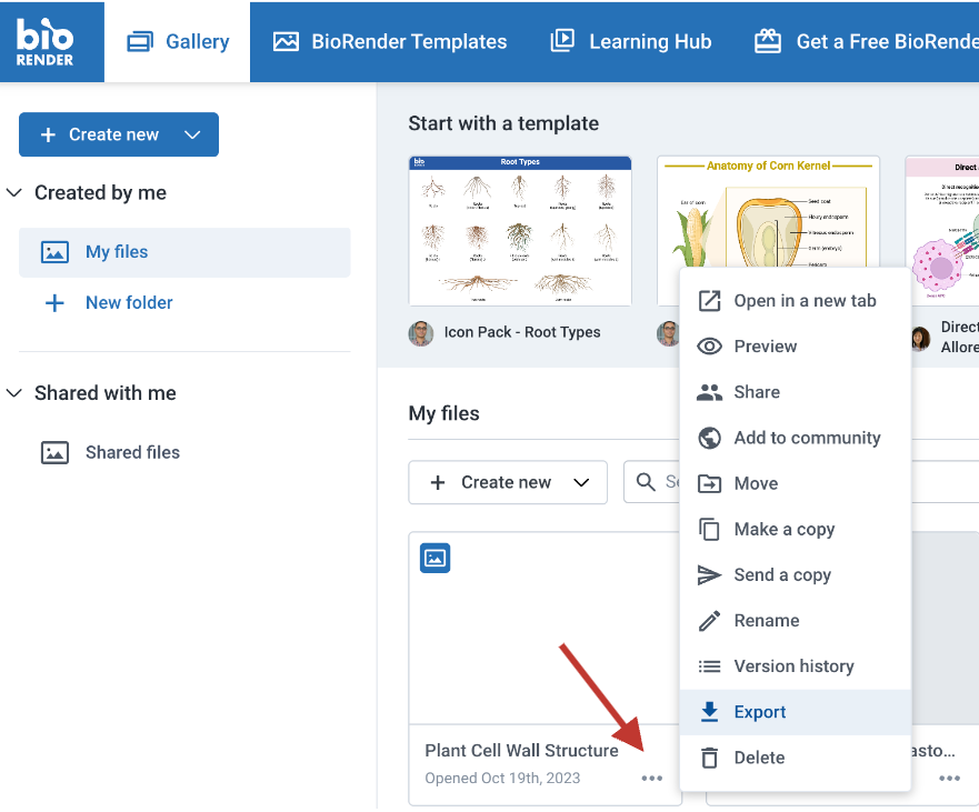 Exporting illustrations – BioRender Help