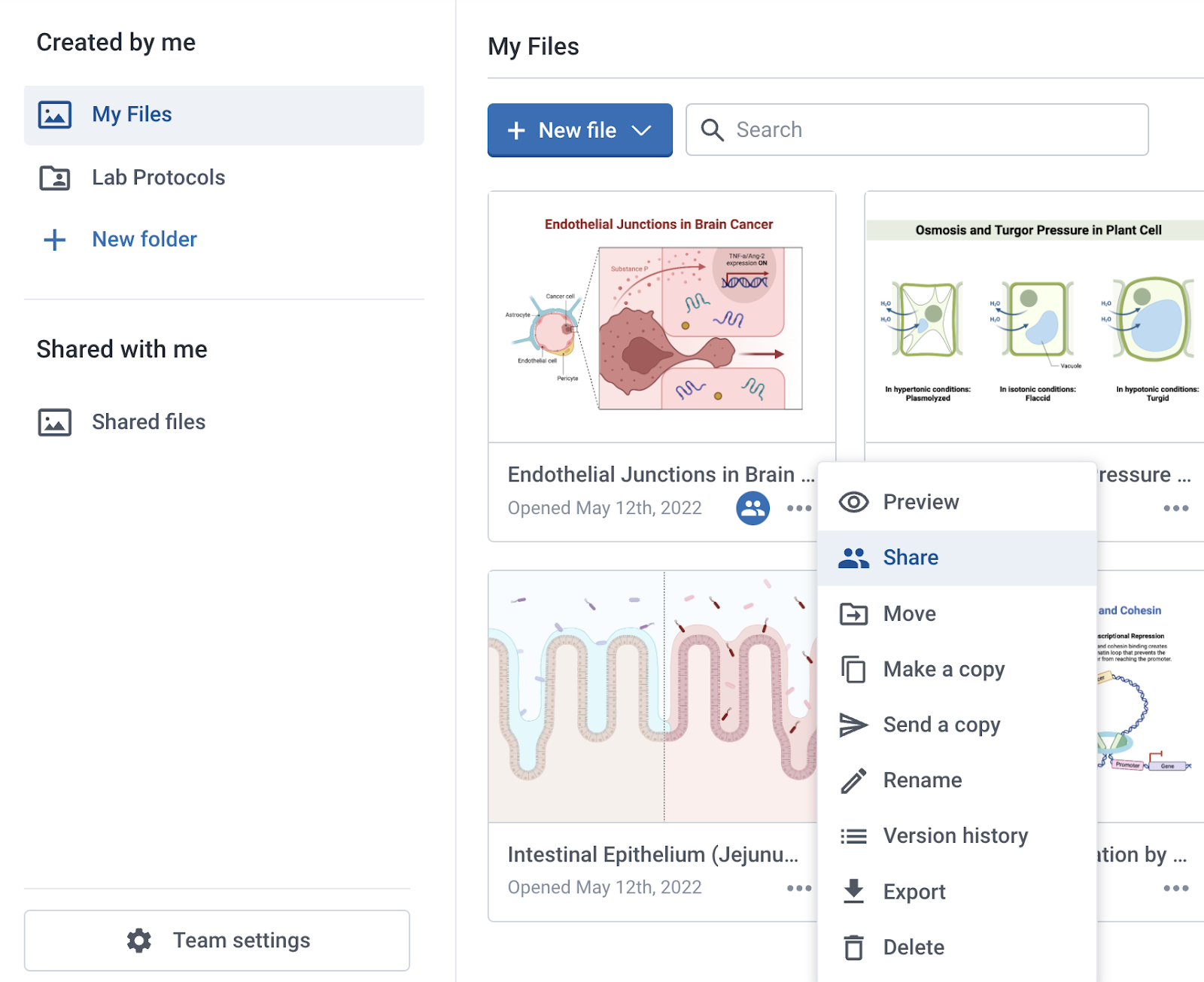 Share your BioRender illustrations with collaborators – BioRender Help