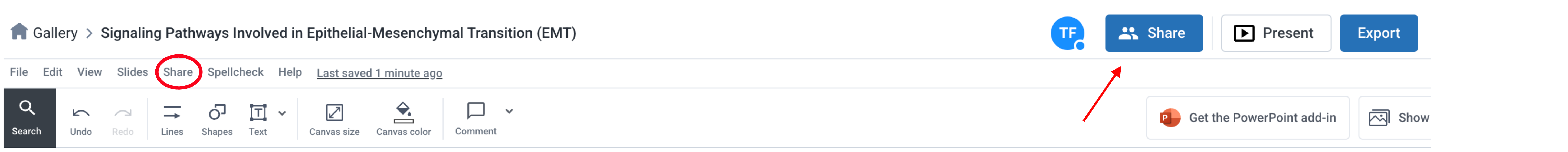 Share your BioRender illustrations with collaborators – BioRender Help