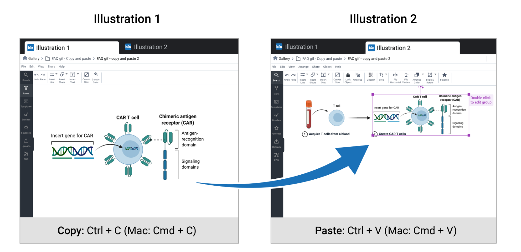 How to copy and paste in BioRender – BioRender Help