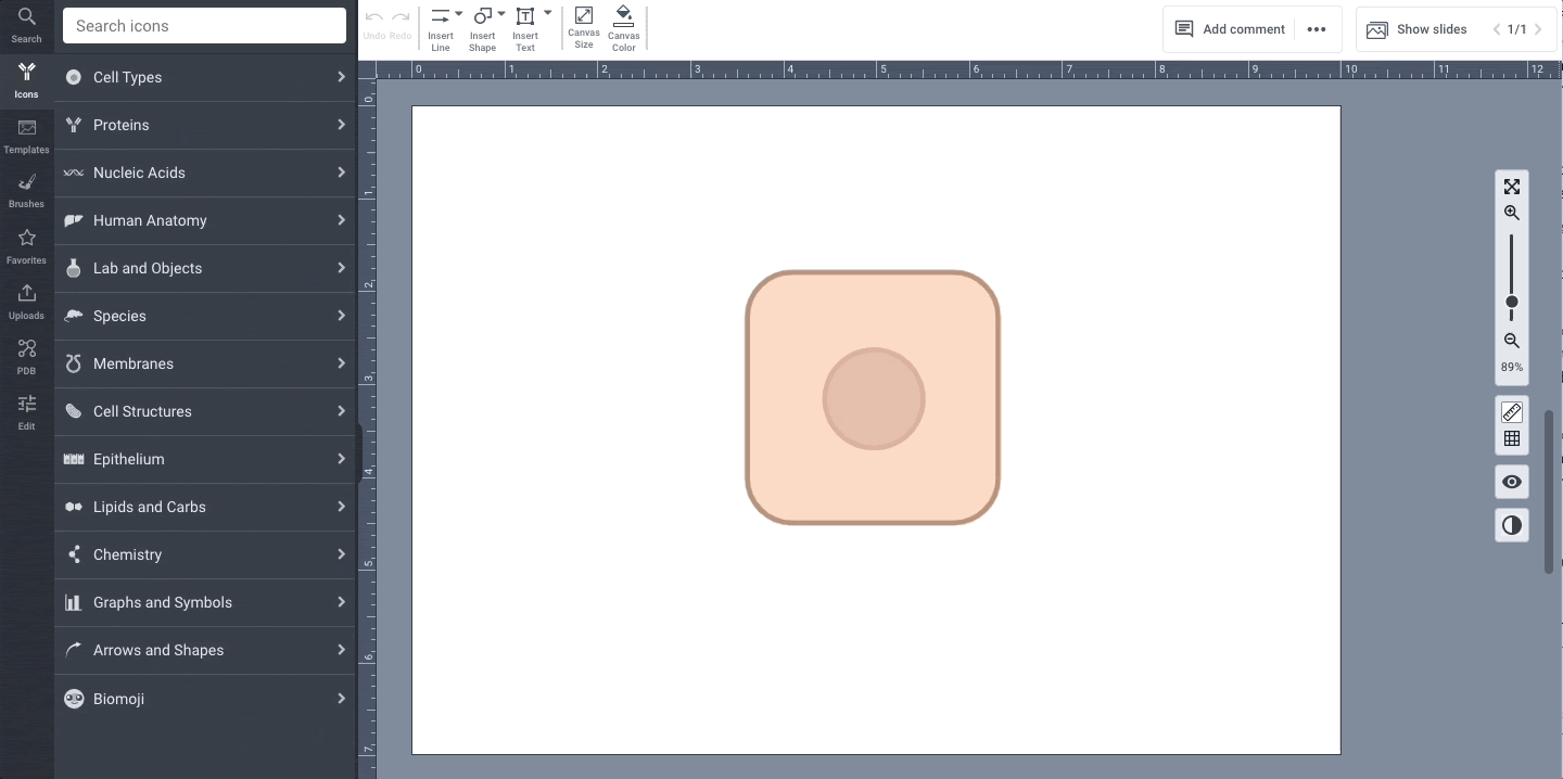 Change an icon's color – BioRender Help
