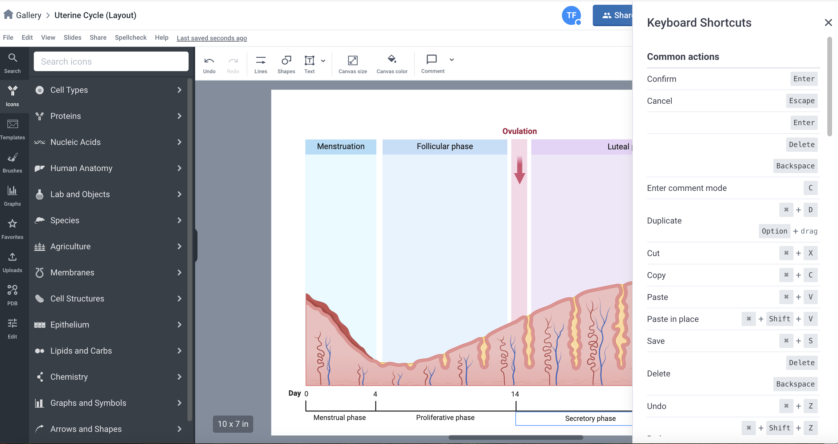 How to use keyboard shortcuts in BioRender – BioRender Help