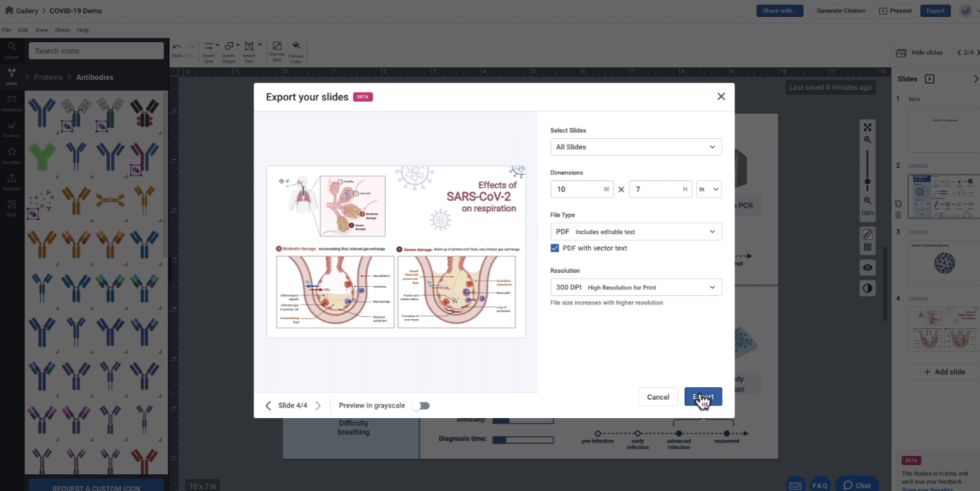 Using BioRender slides (👑 Premium only) – BioRender Help