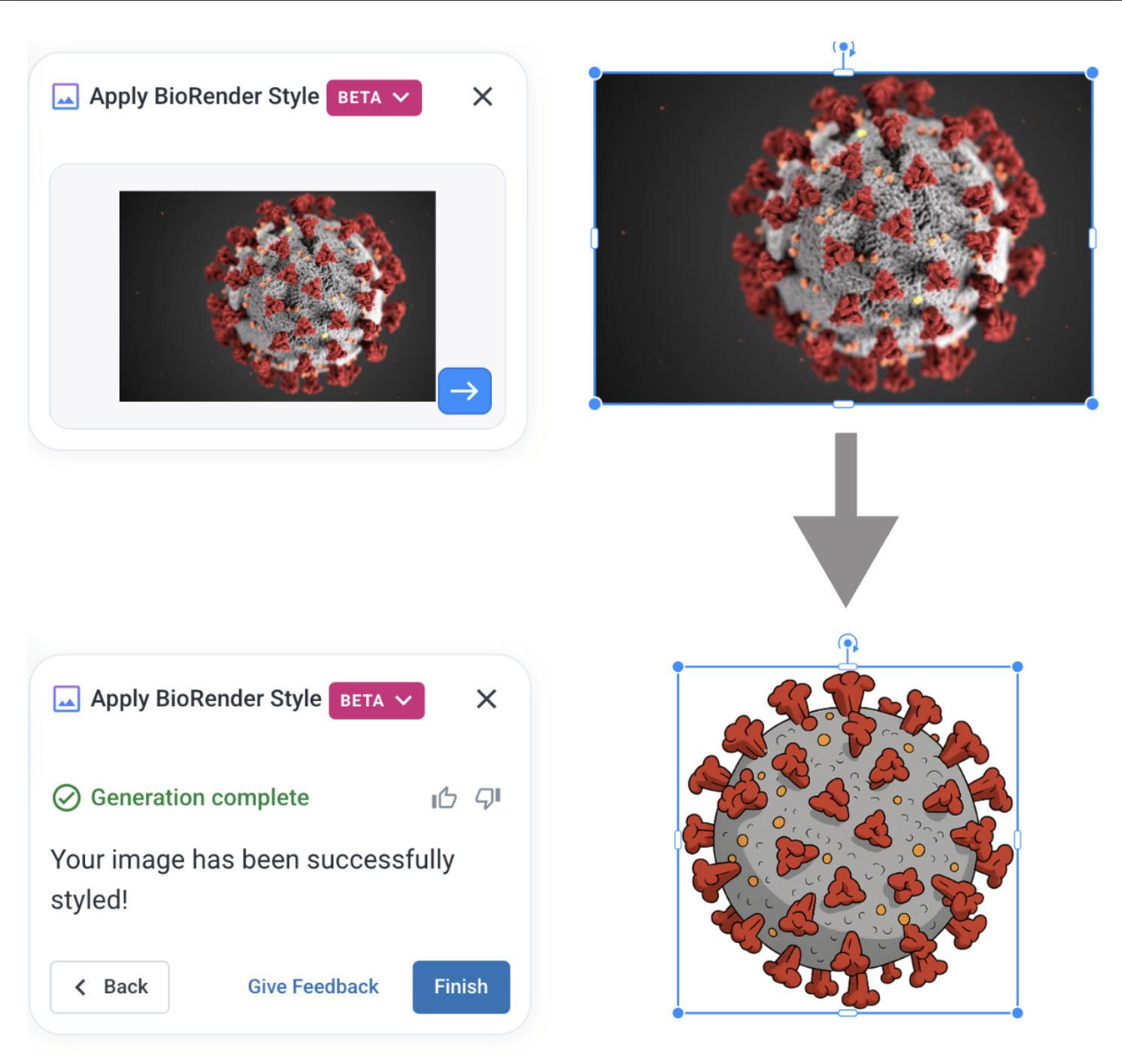 How to generate BioRender-like images from your uploads – BioRender Help